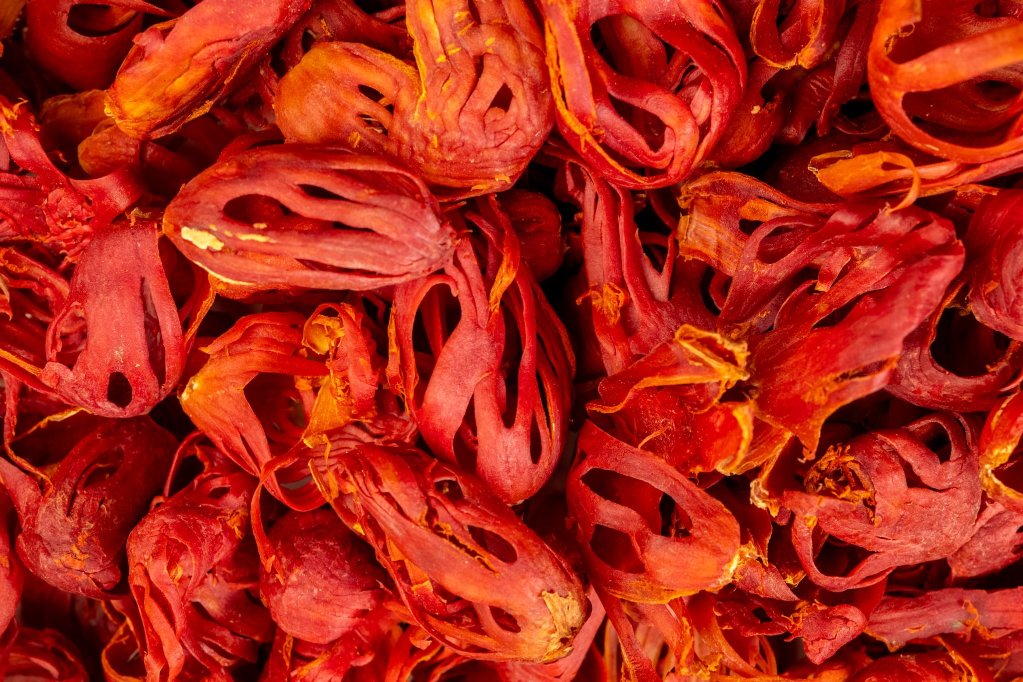 MACE - Vergers Premium Spices